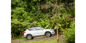 Rentar un carro en Puerto Viejo Costa Rica - Adobe Rent a Car
