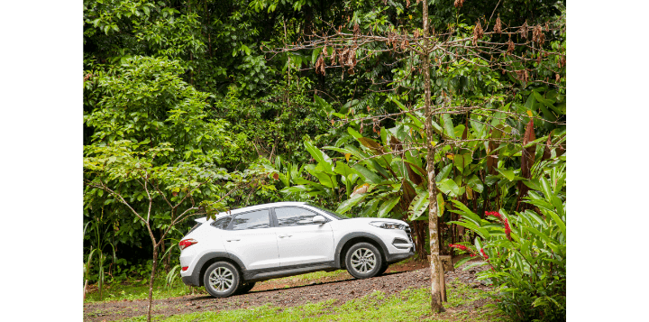 Rentar un carro en Puerto Viejo Costa Rica - Adobe Rent a Car
